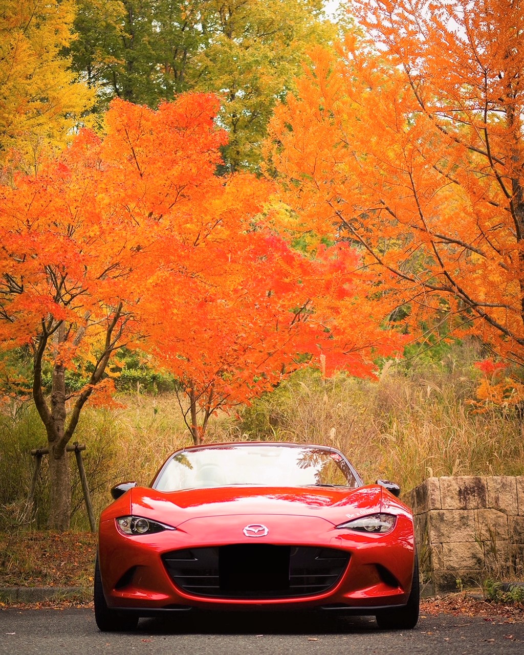 飽きっぽい私でも全く飽きない！ロードスターの魅力を伝えたい♡YouTuber美女 | MOBY [モビー]