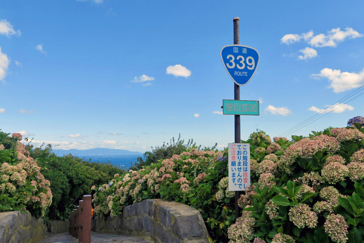 1号から507号まである日本の国道…“日本のルート66”や“国道100号”はどこにある？探しても見つからない意外なワケ | MOBY [モビー]